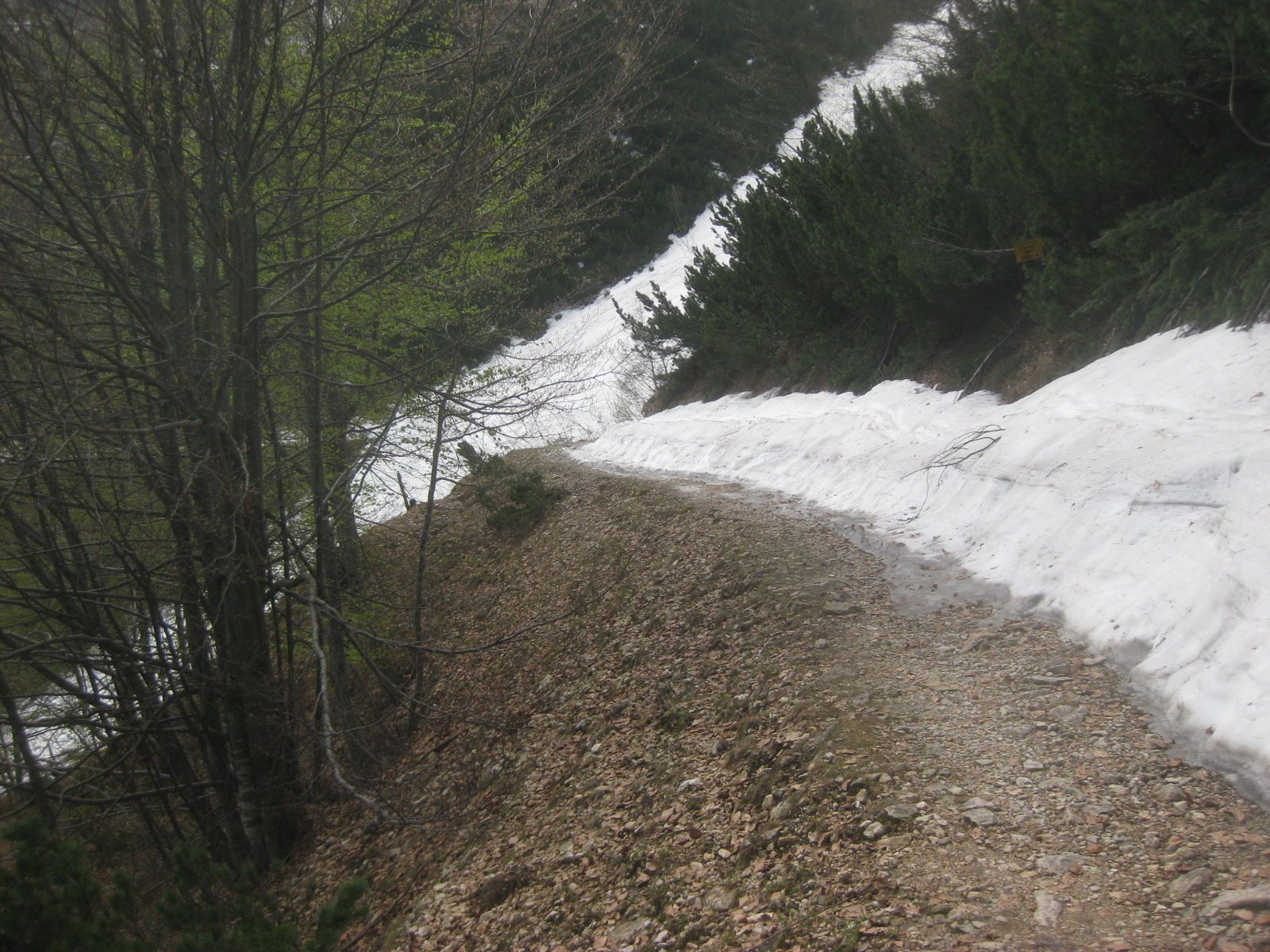 Vajo Ristele | Itinerari trekking