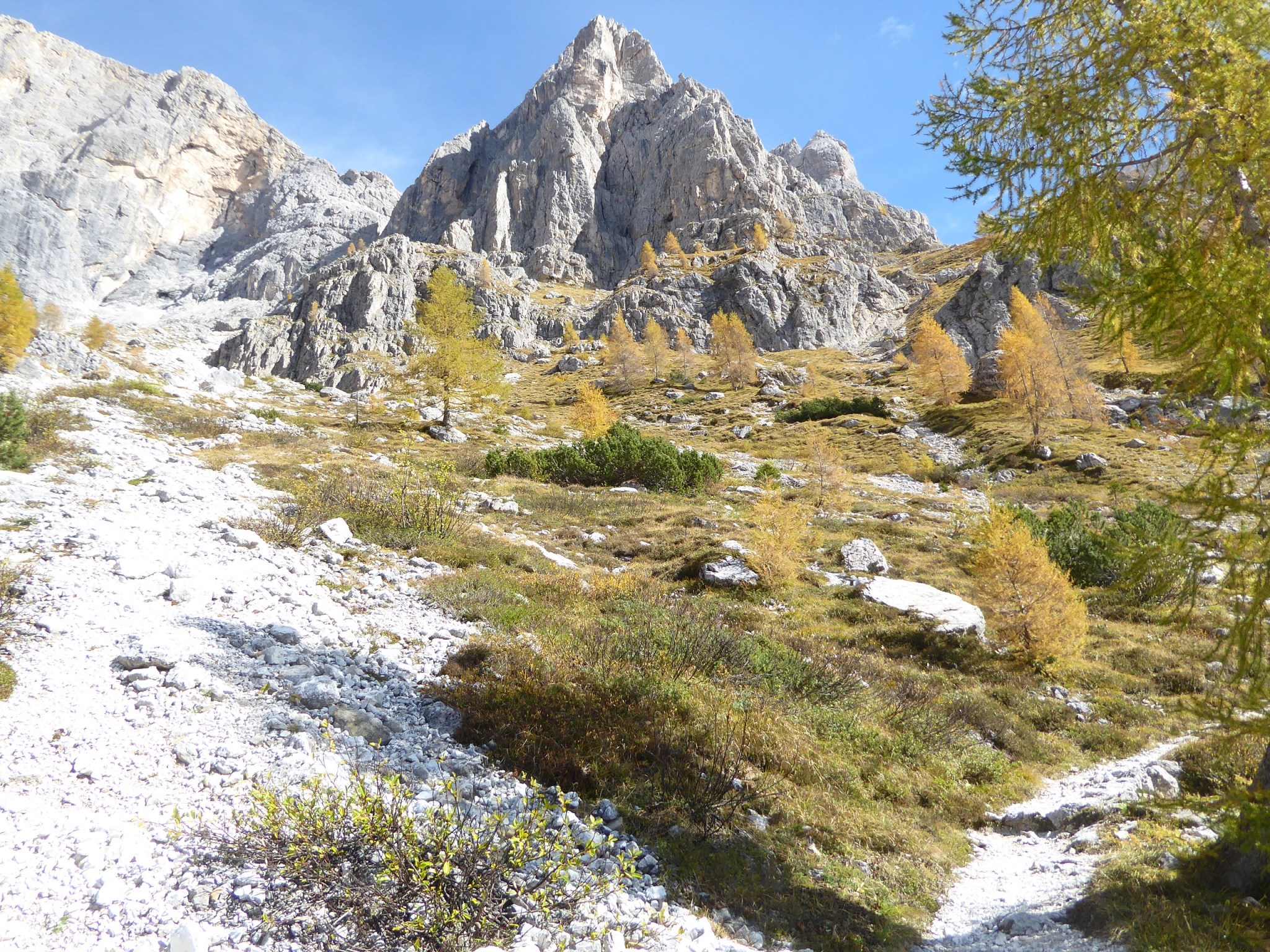 701 San Martino di Castrozza-Rifugio Rosetta Pedrotti | Itinerari trekking